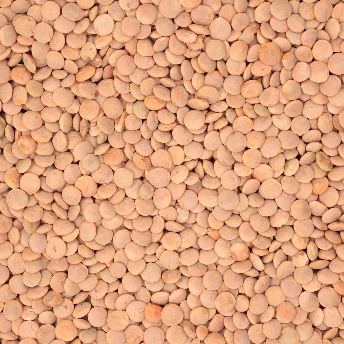 Bruine linzen kopen | Scherpe prijzen | Aardappelenbezorgen.nl