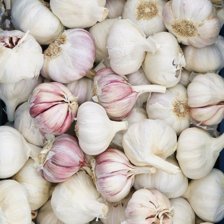 Knoflook kopen? | Aardappelenbezorgen.nl