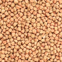 Kapucijners kopen | Aardappelenbezorgen.nl