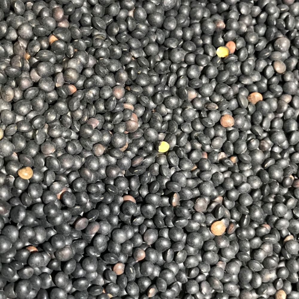Zwarte linzen kopen | Beluga linzen | Aardappelenbezorgen.nl